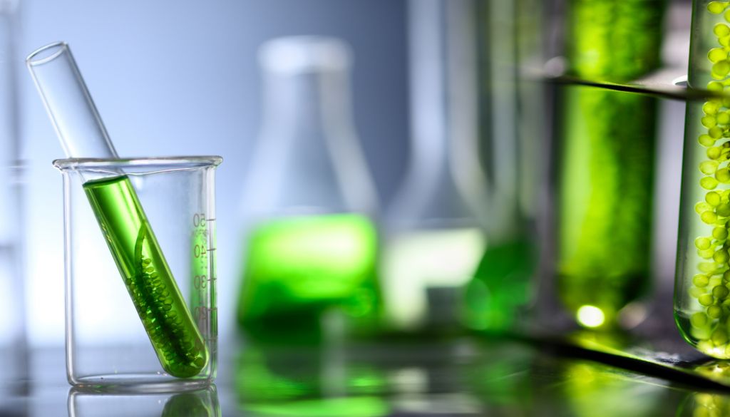 Les biotechnologies : tout le monde en parle ! | Phem